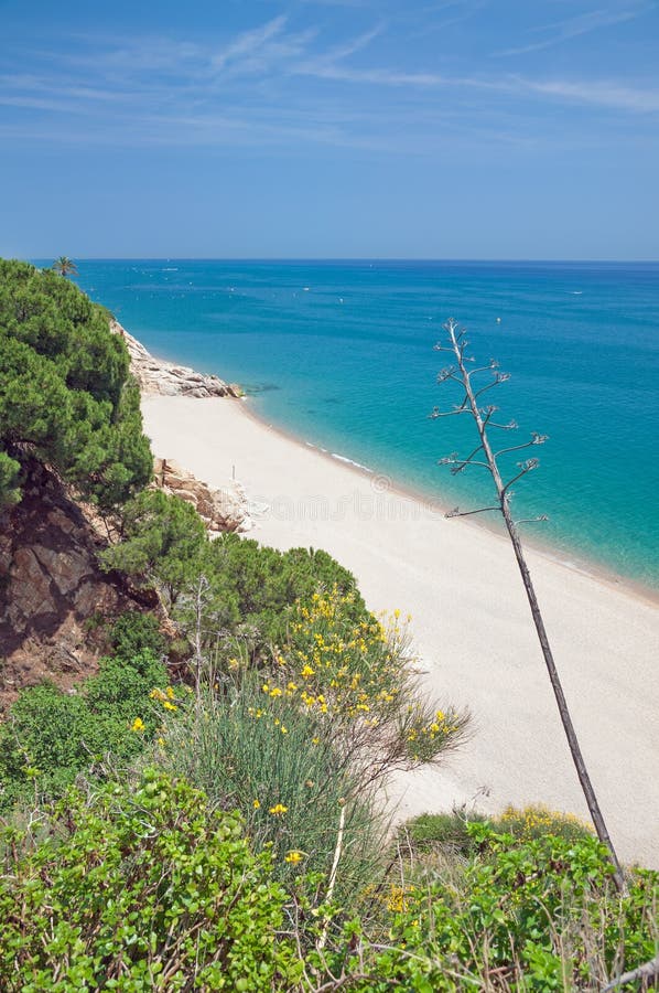 Calella, Costa Brava, Espagne Image stock - Image du méditerranéen ...