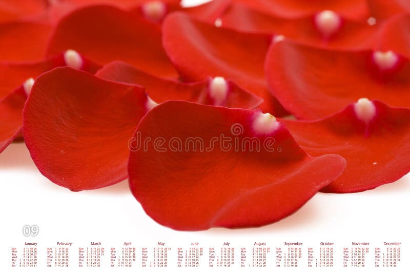 Calendar 2009 stock image. Image of diary, week, year - 7336209