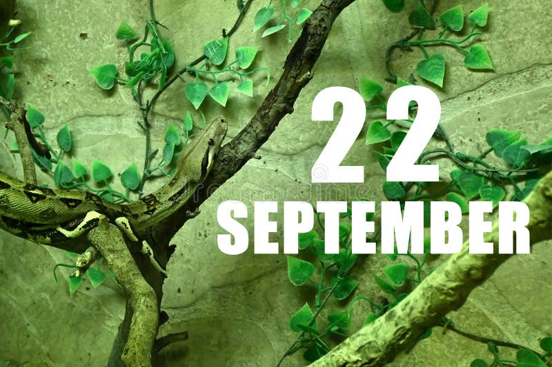 Calendar Date on Light Green Background with Snake Crawling on Tree ...