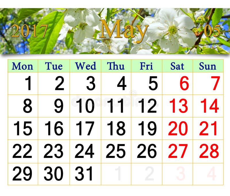 Calendario Para Mayo De 2017 Con El Cerezo Floreciente Imagen de ...