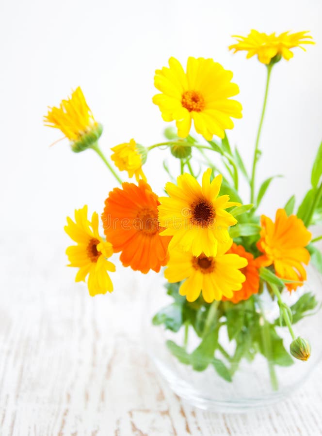 Calendula bouquet stock photo. Image of bouquet, arrangement - 32879516