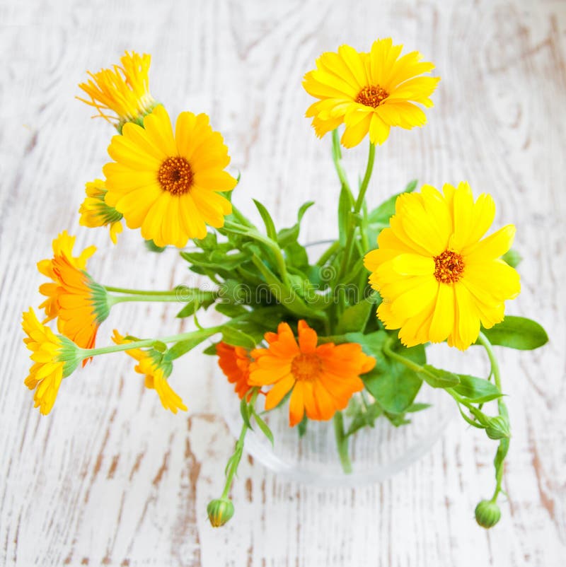 Calendula bouquet stock image. Image of beautiful, plant - 34240055