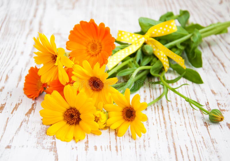 Ranunculus in warm shades stock photo. Image of warm - 30052678