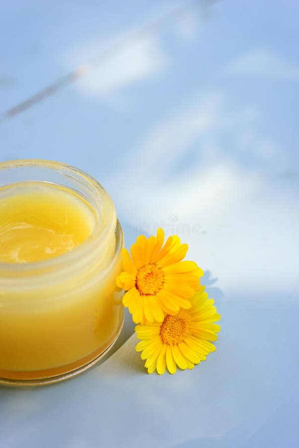 Calendula cream stock photo. Image of face, cream, lotion - 44487898
