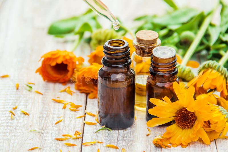 Calendula Extract and Flowers in a Small Bottle. Stock Image - Image of ...