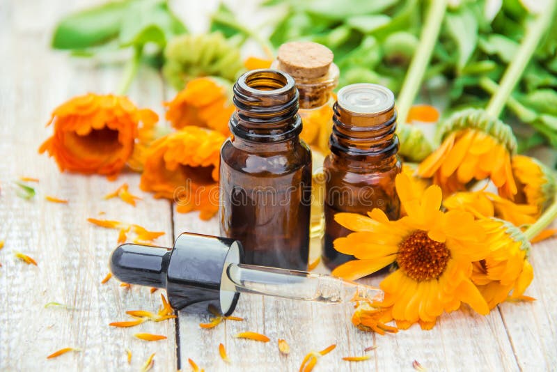 Calendula Extract and Flowers in a Small Bottle. Stock Photo - Image of ...