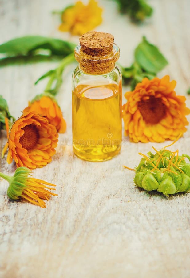 The Calendula Extract. Medicinal Plants Stock Image - Image of extract ...