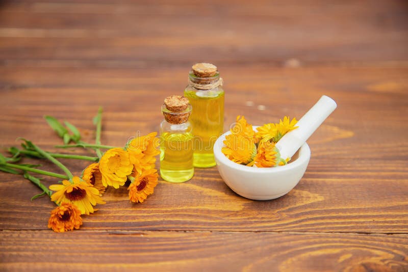 The Calendula Extract. Medicinal Plants Stock Image - Image of menthol ...