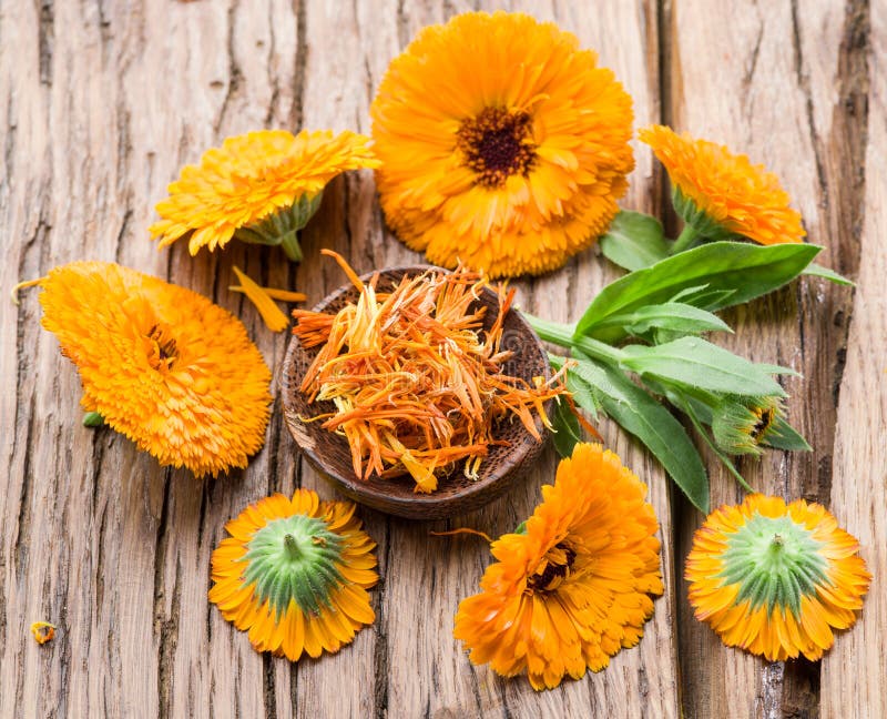 Calendula flowers and sky stock photo. Image of flower - 33994348