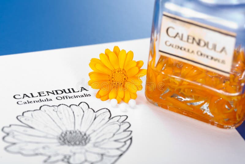 Calendula Officinalis stock photo. Image of alternative - 20662512