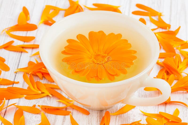 Calendula Officinalis Flower Infusion Stock Photo - Image of herbaceous ...