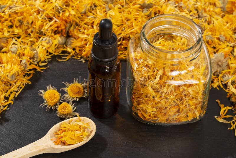 Calendula Officinalis - Calendula Oil in Dark Cosmetic Dropper Stock ...