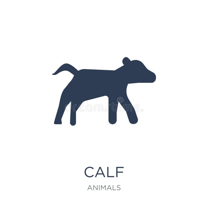 Calf Icon. Trendy Flat Vector Calf Icon On White Background From Stock ...