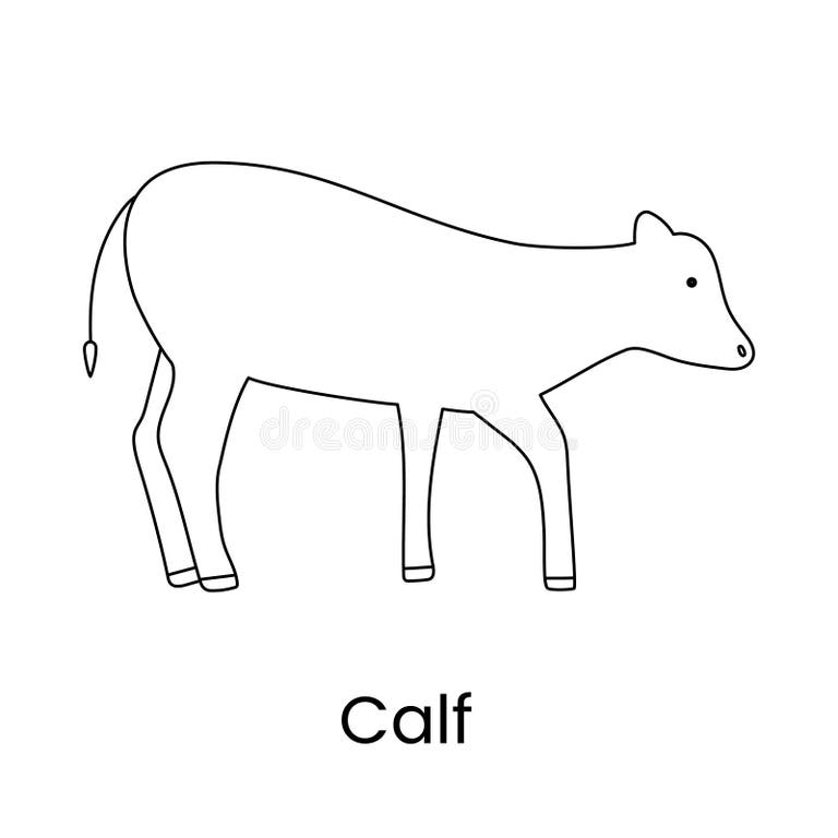 Calf Icon in Vector. Linear Illustration. Stock Vector - Illustration ...