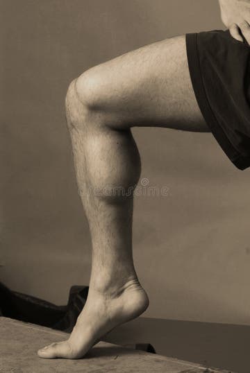 Calf Muscle stock photo. Image of fitness, toes, foot - 2240002