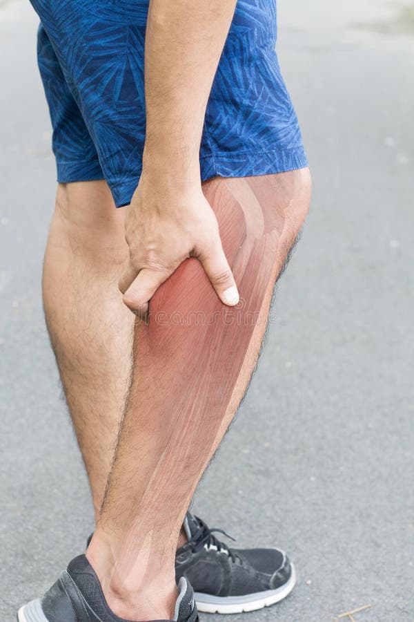 Set of Muscle Pain in Different Parts Female Body Stock Image - Image ...