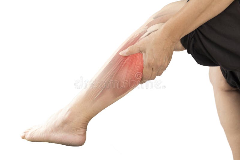Calf muscle pain stock image. Image of pain, body, cramp - 144250861