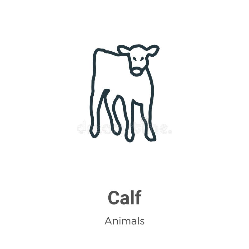 Calf Outline Icon. Isolated Line Vector Illustration from Animals ...
