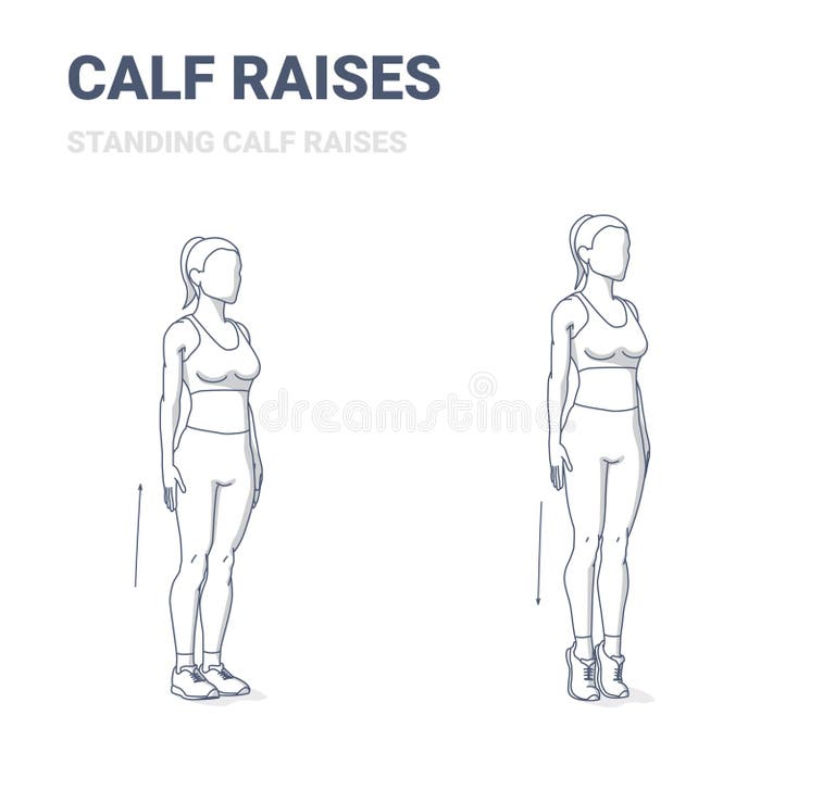 Exercise Calf Raise Stock Illustrations 102 Exercise Calf Raise Stock Illustrations Vectors