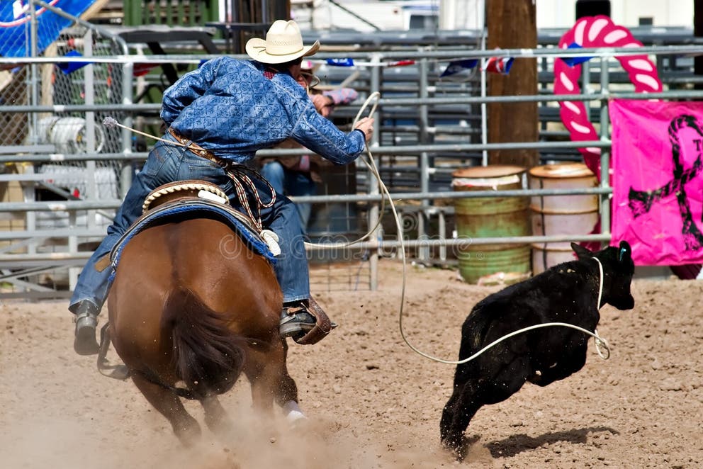 Calf roper editorial stock photo. Image of riding, horseback - 13265648
