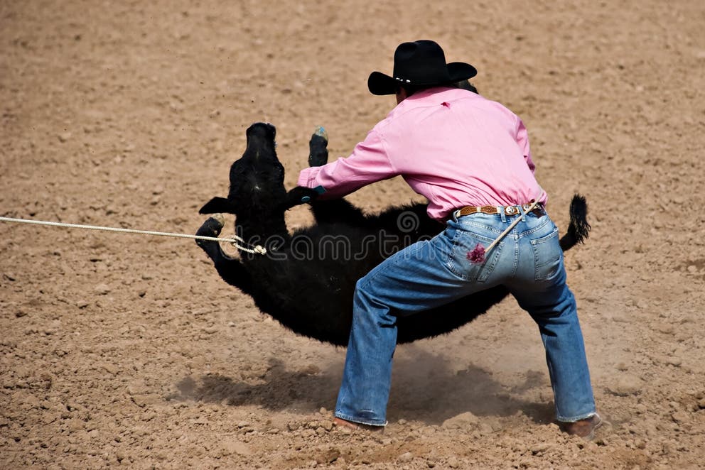 Calf roper editorial stock photo. Image of dutchman, rope - 13265653