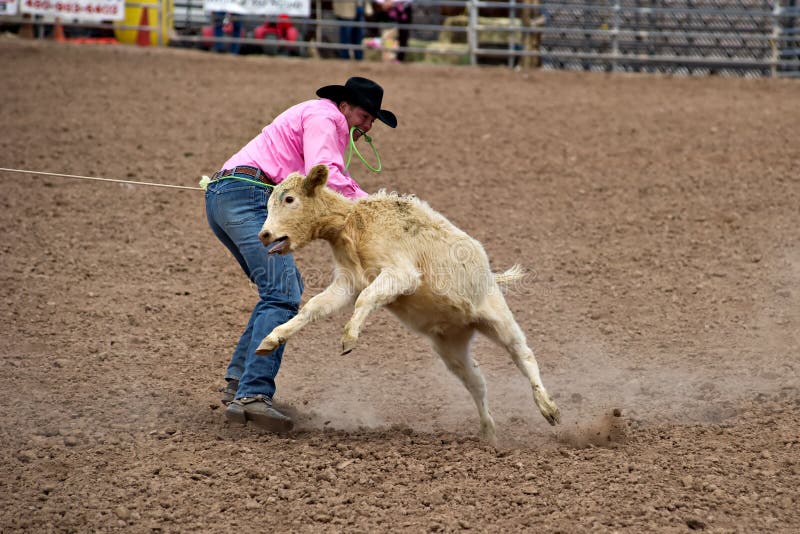 Calf roper editorial stock photo. Image of rodeo, days - 13265658