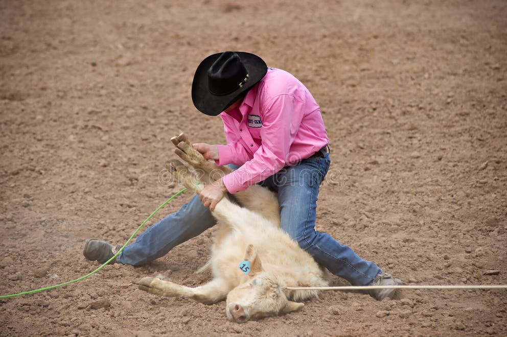Calf roper editorial stock photo. Image of riding, cowboy - 13265663