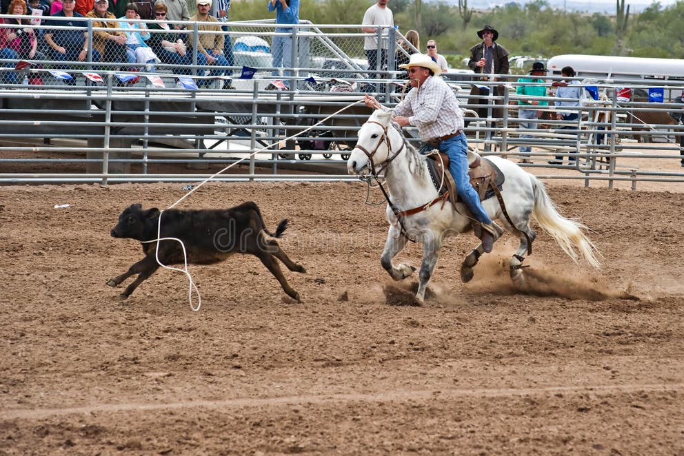 Calf roper editorial photography. Image of rope, days - 13265677