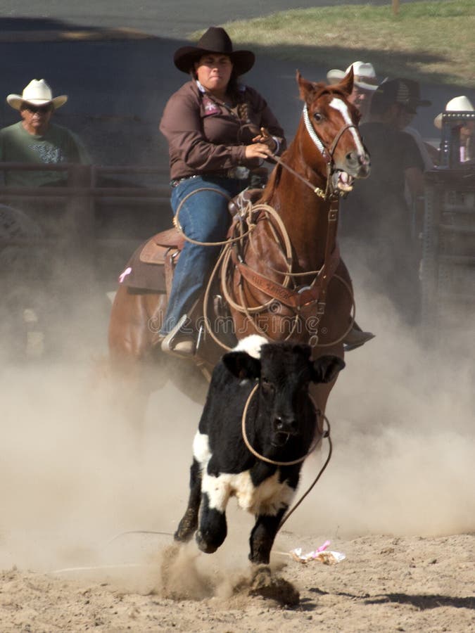 Chute Girl X Stock Photos - Free & Royalty-Free Stock Photos from ...