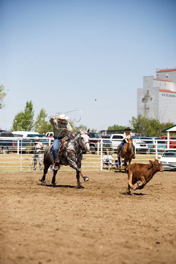Calf Roping editorial photo. Image of brown, captured - 41078236