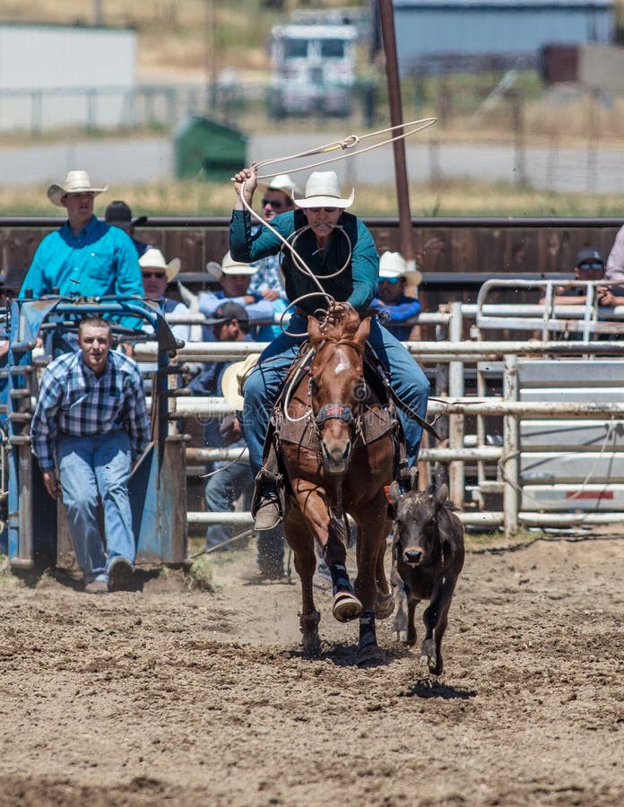 104 Cowgirl Horns Stock Photos - Free & Royalty-Free Stock Photos from ...