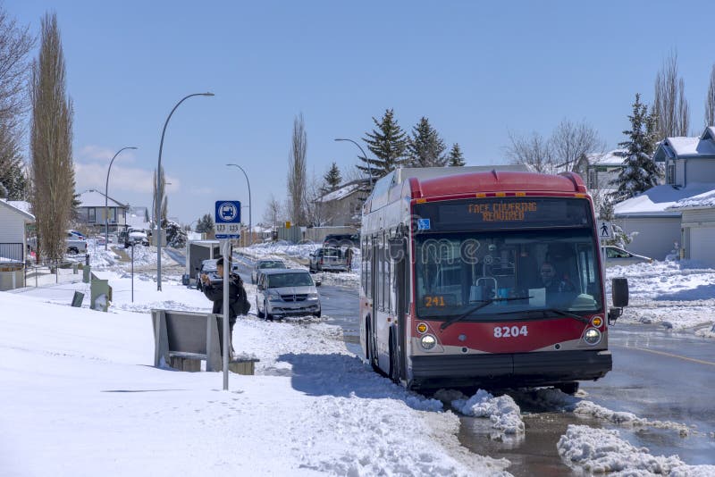 A Calgary Transit Nova Bus LFS 40102 Model on a Bus Stop during a ...