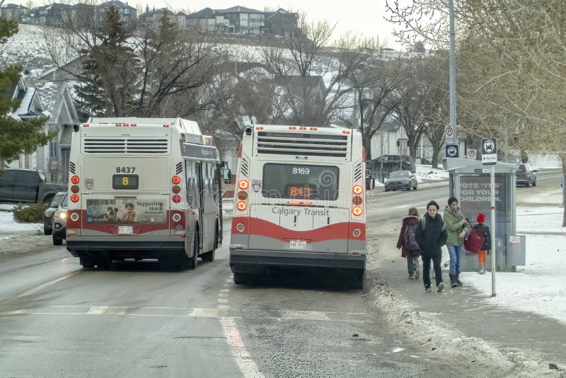 A Couple of Calgary Transit Bus Trucks during the Winter Editorial ...