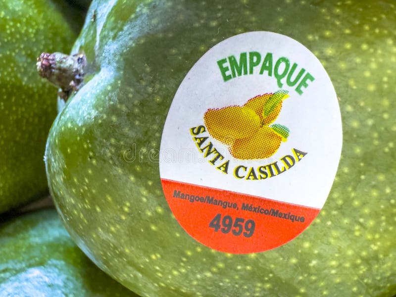 Close-up of a White Sticker on a Green Mango. the Sticker Identifies ...