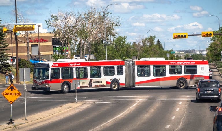 A Double Bus from Calgary Transit Service Crossing an Intersection on ...