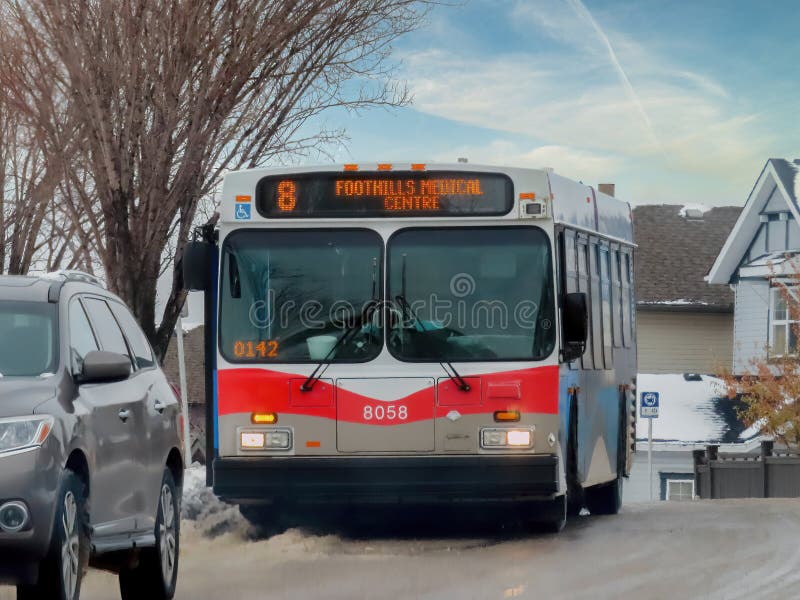 A Calgary Transit Bus during the Winter Editorial Stock Photo - Image ...