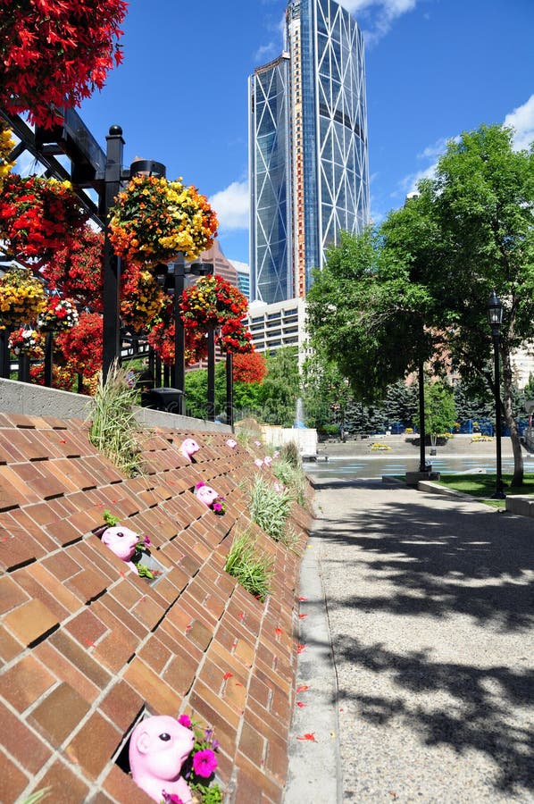 Calgary city park stock photo. Image of urban, calgary - 20607856
