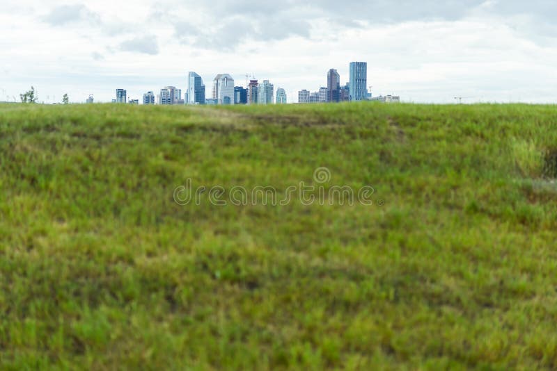 Calgary City Skyline View from Top of a Hill Stock Photo - Image of ...