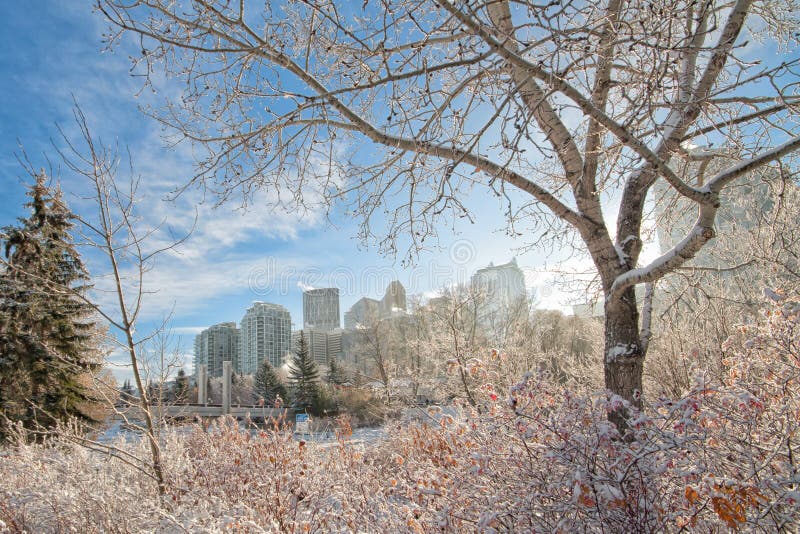 Calgary City in Winter stock image. Image of snow, park - 35702839