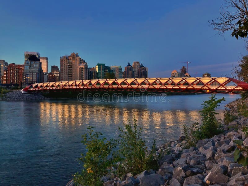 Calgary Peace Bridge Lit Up Editorial Stock Image - Image of rocks ...