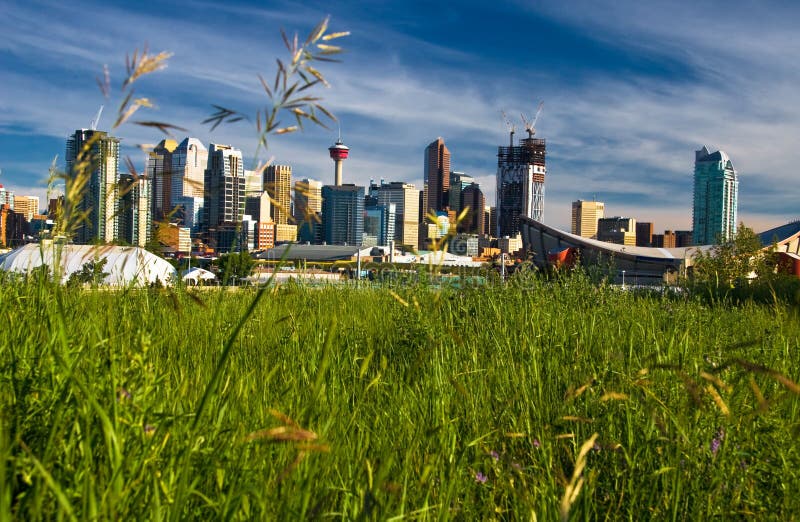 Calgary s green stock photo. Image of architecture, sights - 17093694