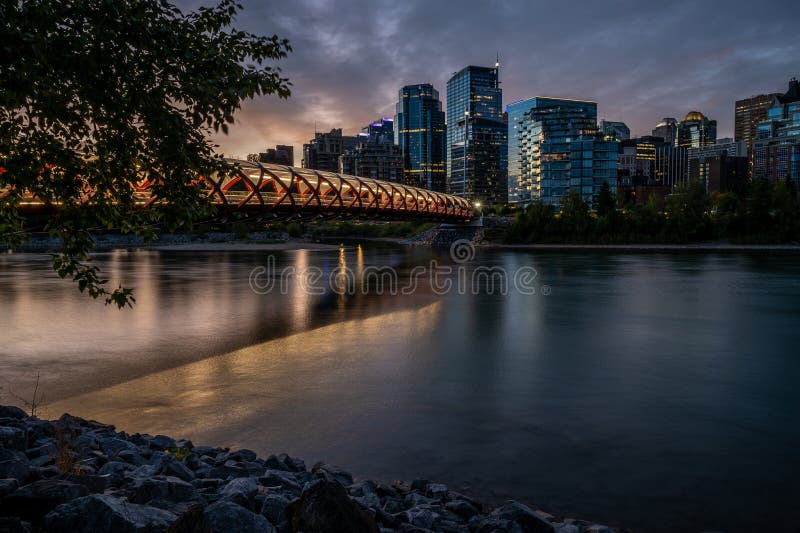 Calgary S Peace Bridge and Skyline at Night Editorial Photo - Image of ...