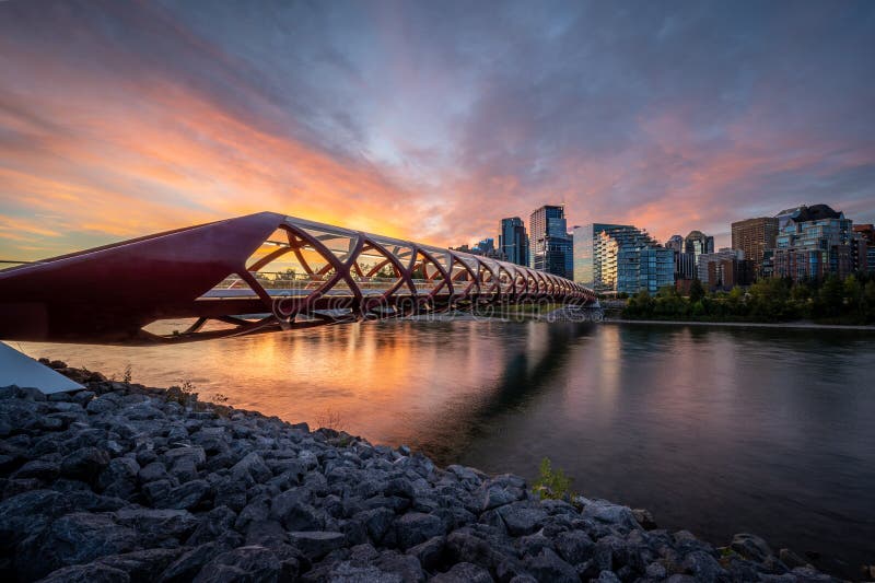 Calgary`s Peace Bridge at Twilight Editorial Image - Image of canadian ...