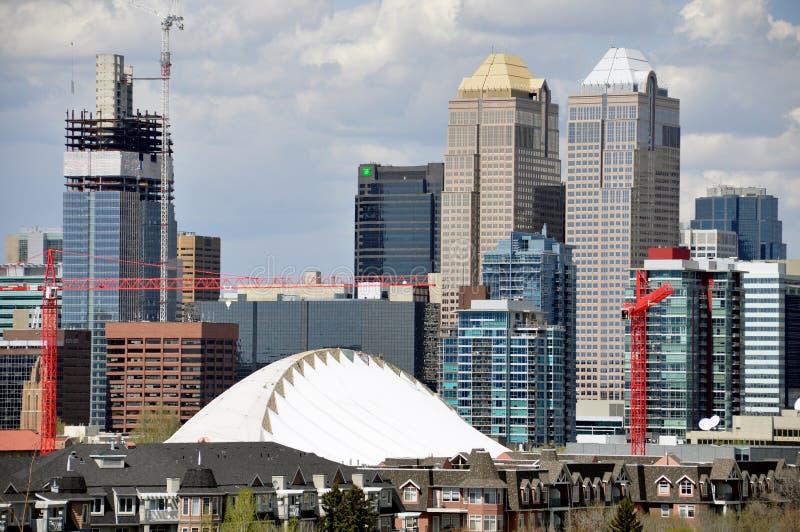 Calgary s urban jungle stock photo. Image of corporate - 14311306