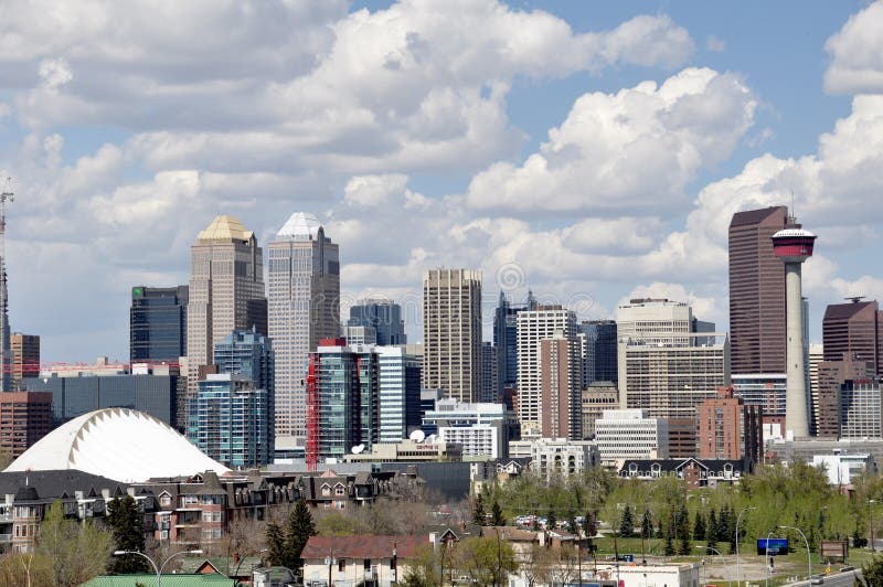 Calgary s urban jungle stock photo. Image of office, corporation - 14311312