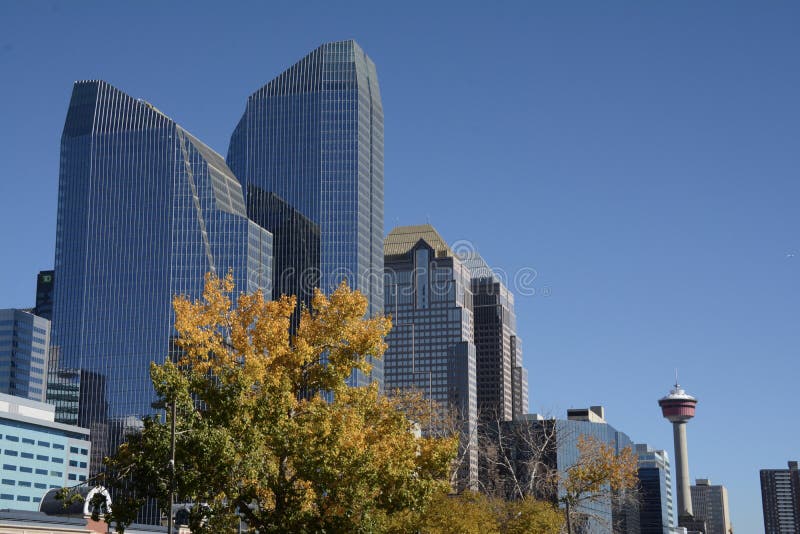 Calgary skyline editorial photo. Image of tower, buildings - 73308336