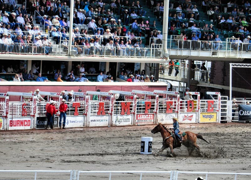 Calgary Stampede Rodeo editorial image. Image of bullring - 105962345