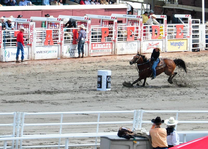 Calgary Stampede Rodeo editorial stock image. Image of rodeo - 105962464