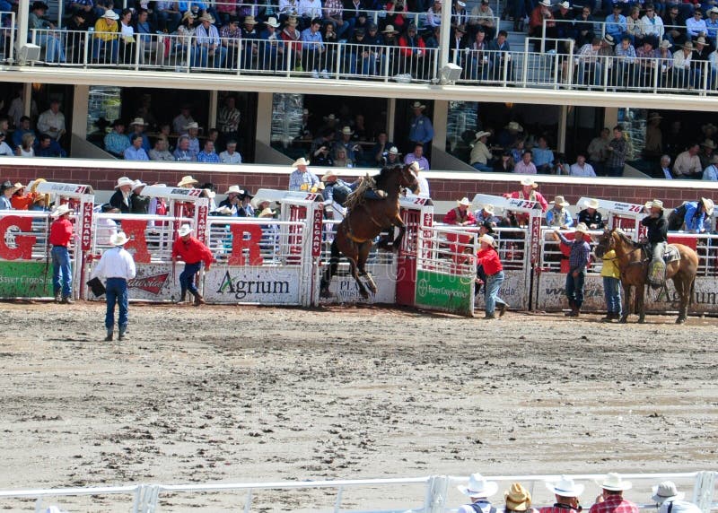 Calgary Stampede Rodeo editorial image. Image of sand - 105961910