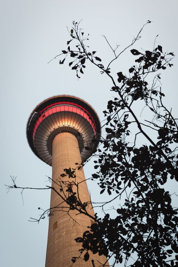 Calgary Tower stock photo. Image of lifted, canada, canadian - 176079096